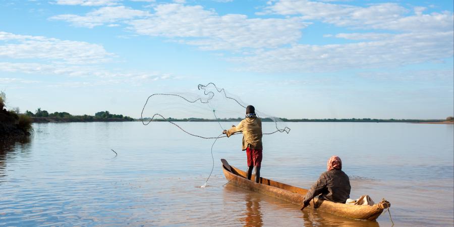 Les ressources halieutiques : entre profits économiques et cris d ...
